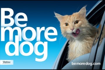 A "new wave" of younger clients are coming in and demanding digital ...