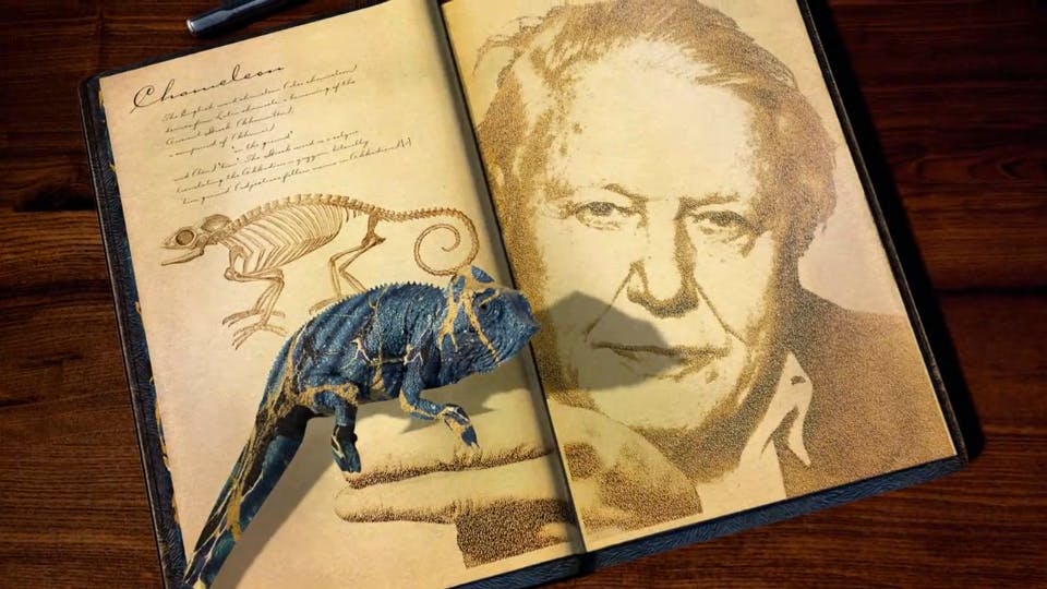 UKTV’s Eden channel works with Red Bee Media for integrated ...