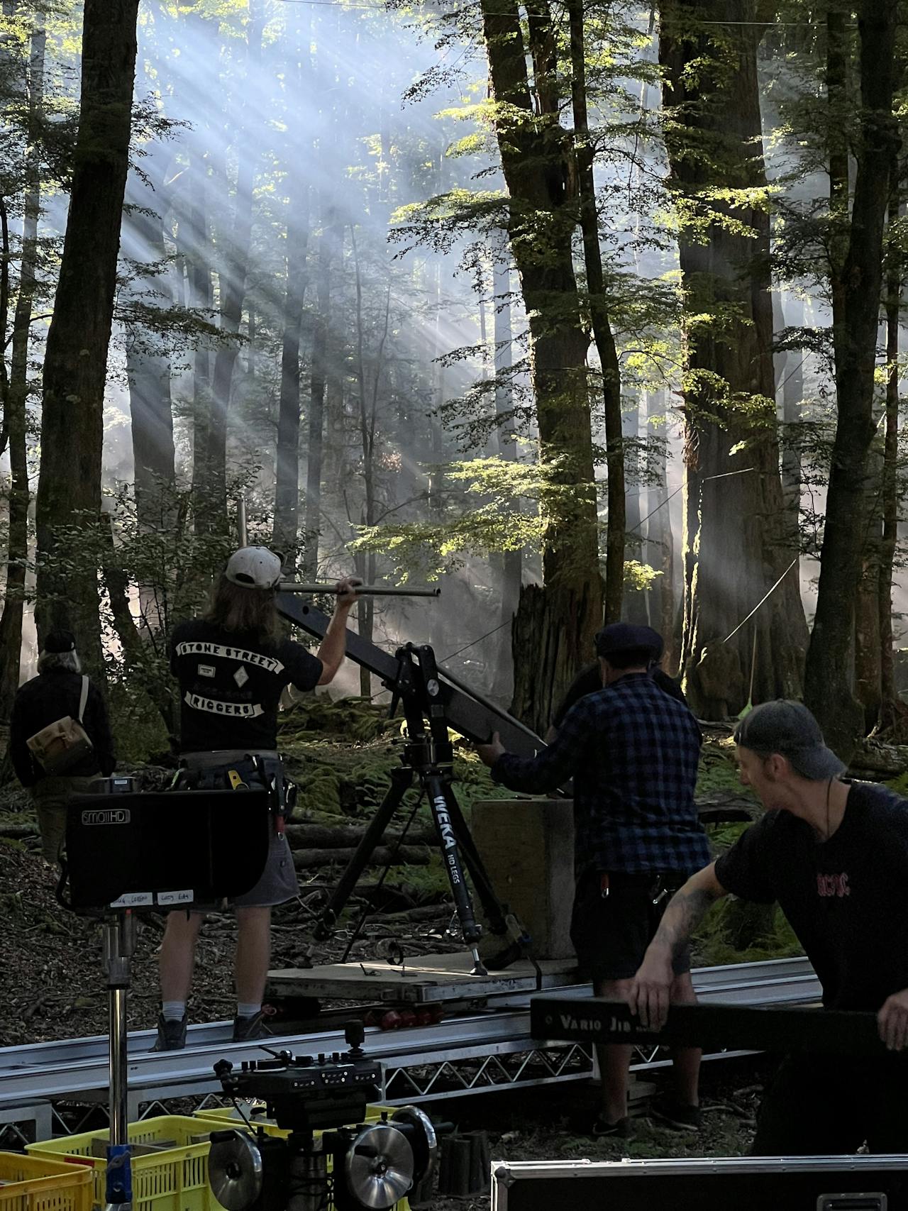 Creative Works | New Zealand Air: Tiaki Promise | The Drum