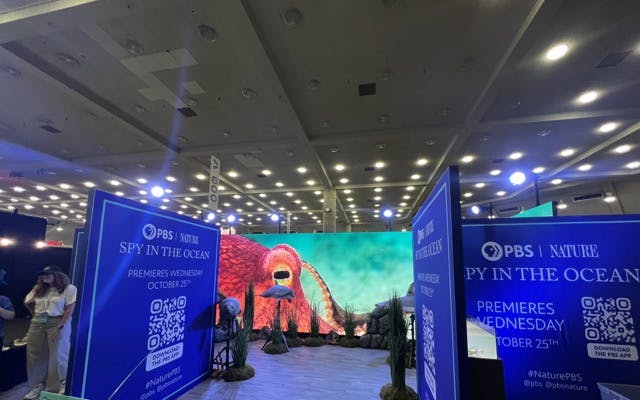 How immersive LED nature helped PBS wow VidCon Baltimore | The Drum