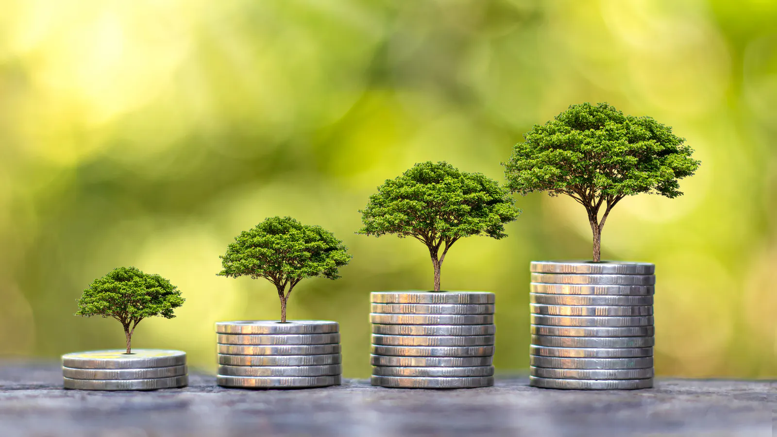 Embracing nimble adaptability is key to growth in 2025, say agency ...