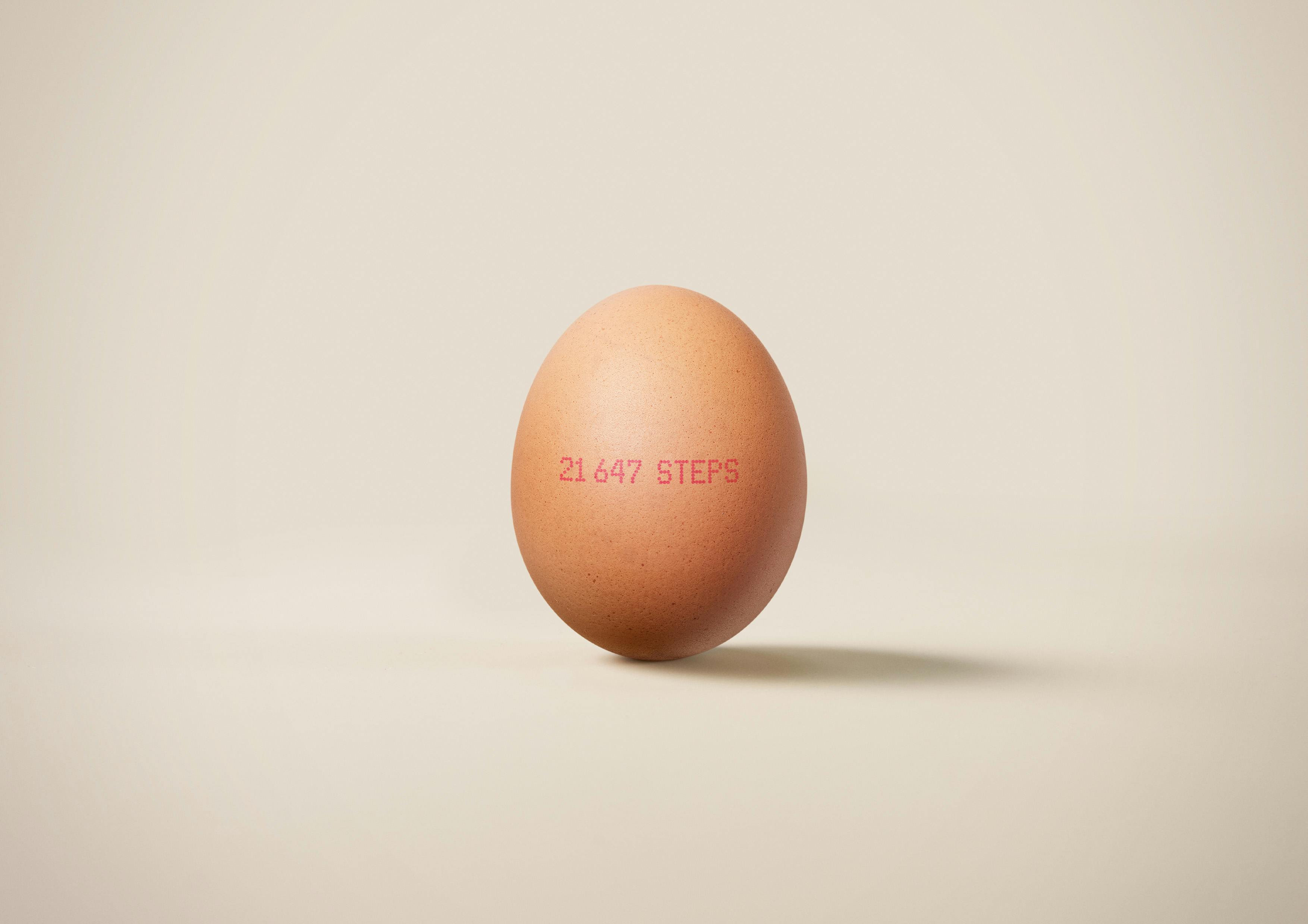 Honest Eggs Co launches ‘FitChix’, a fitness tracker designed for chickens | The Drum