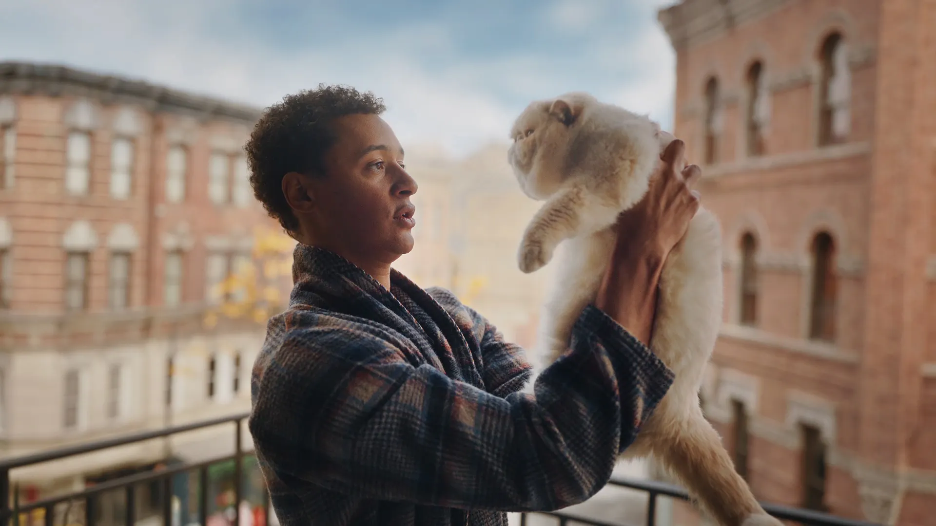 Samsung’s new TV impresses world’s grouchiest cat in global campaign ...