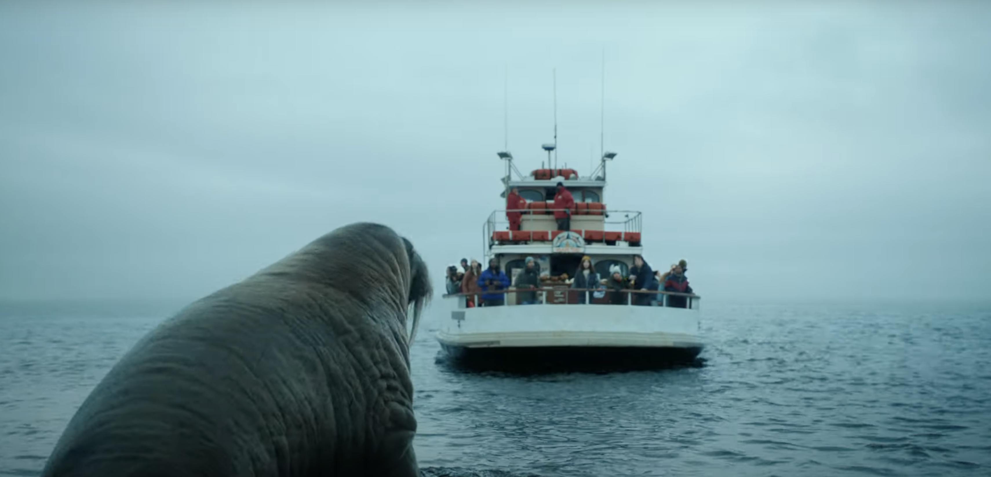 Ad of the Day: Mum proudly speaks ‘walrus’ in surprising finance spot ...