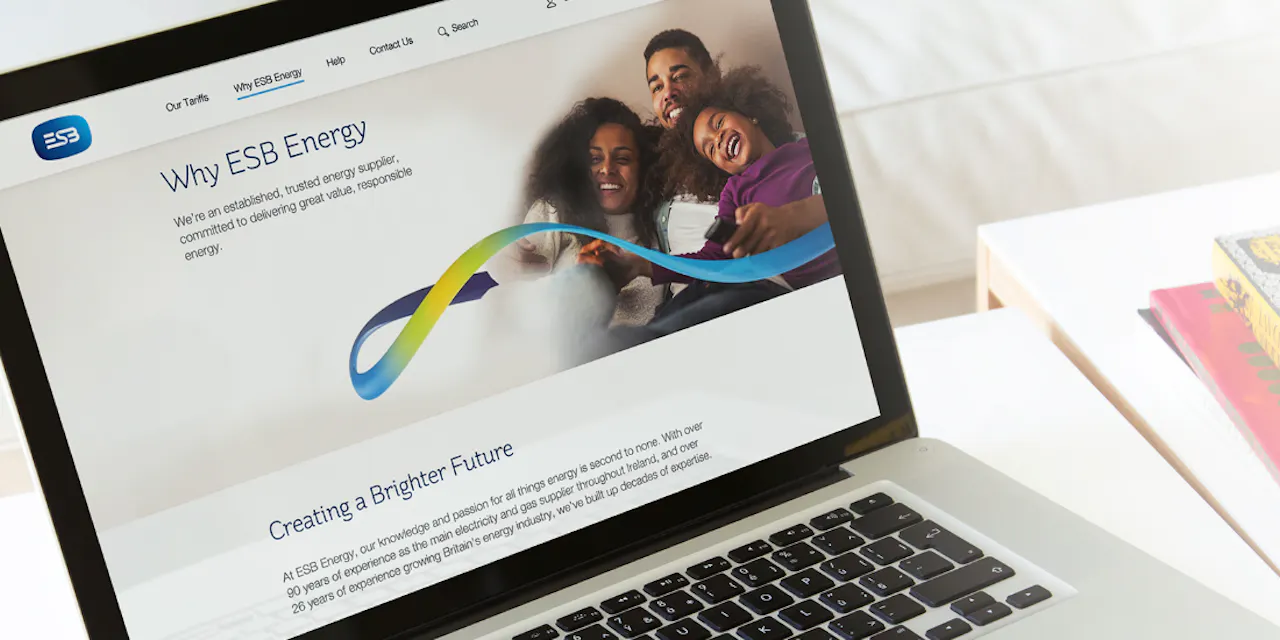 Launching ESB into the highly competitive UK energy marketplace with a ...
