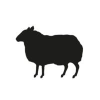 PlayStation 4 unveils ad for ‘Greatness Awaits’ campaign from BBH New ...