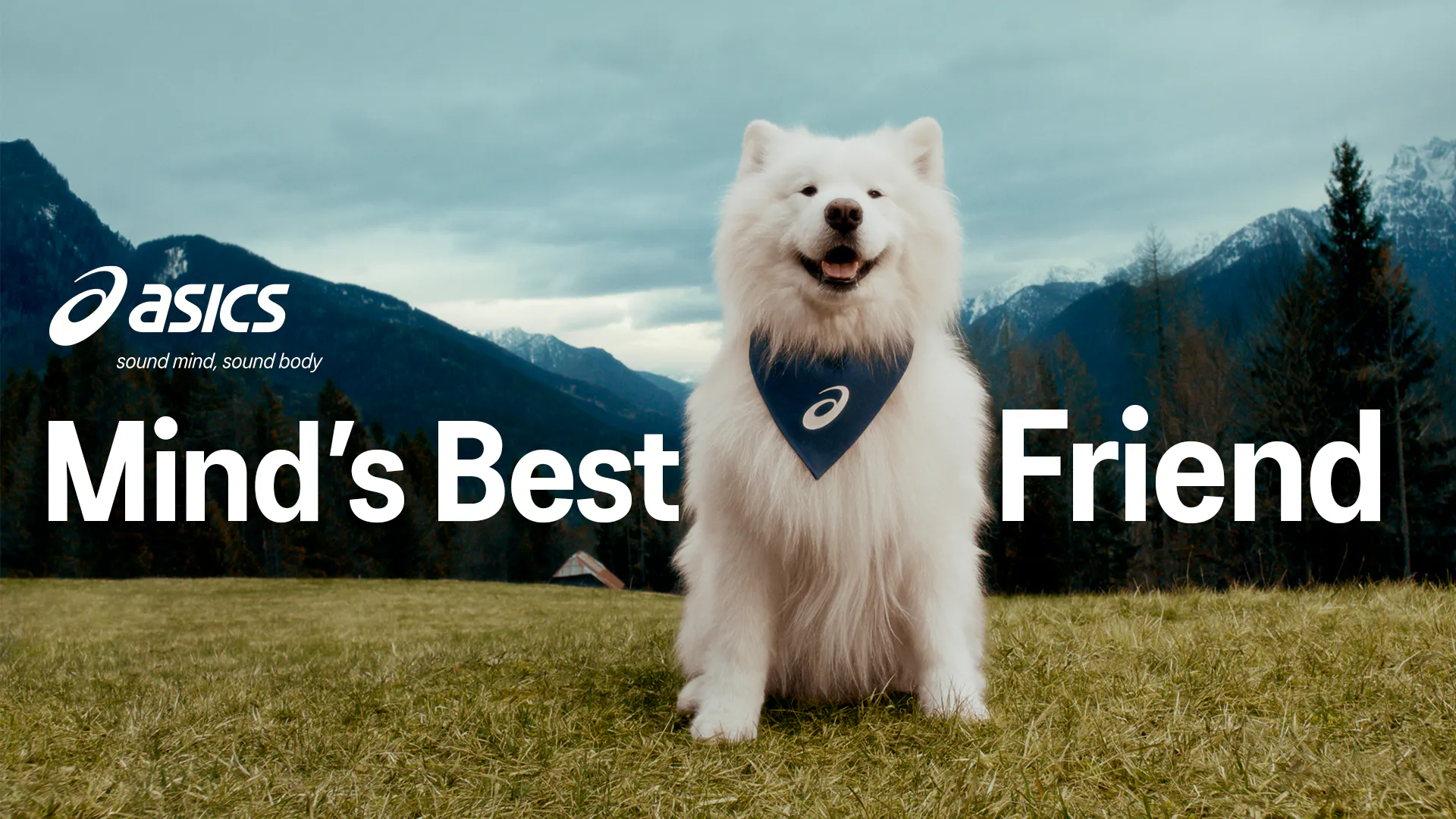 ASICS appointed a viral dog ambassador to champion mental wellbeing ...