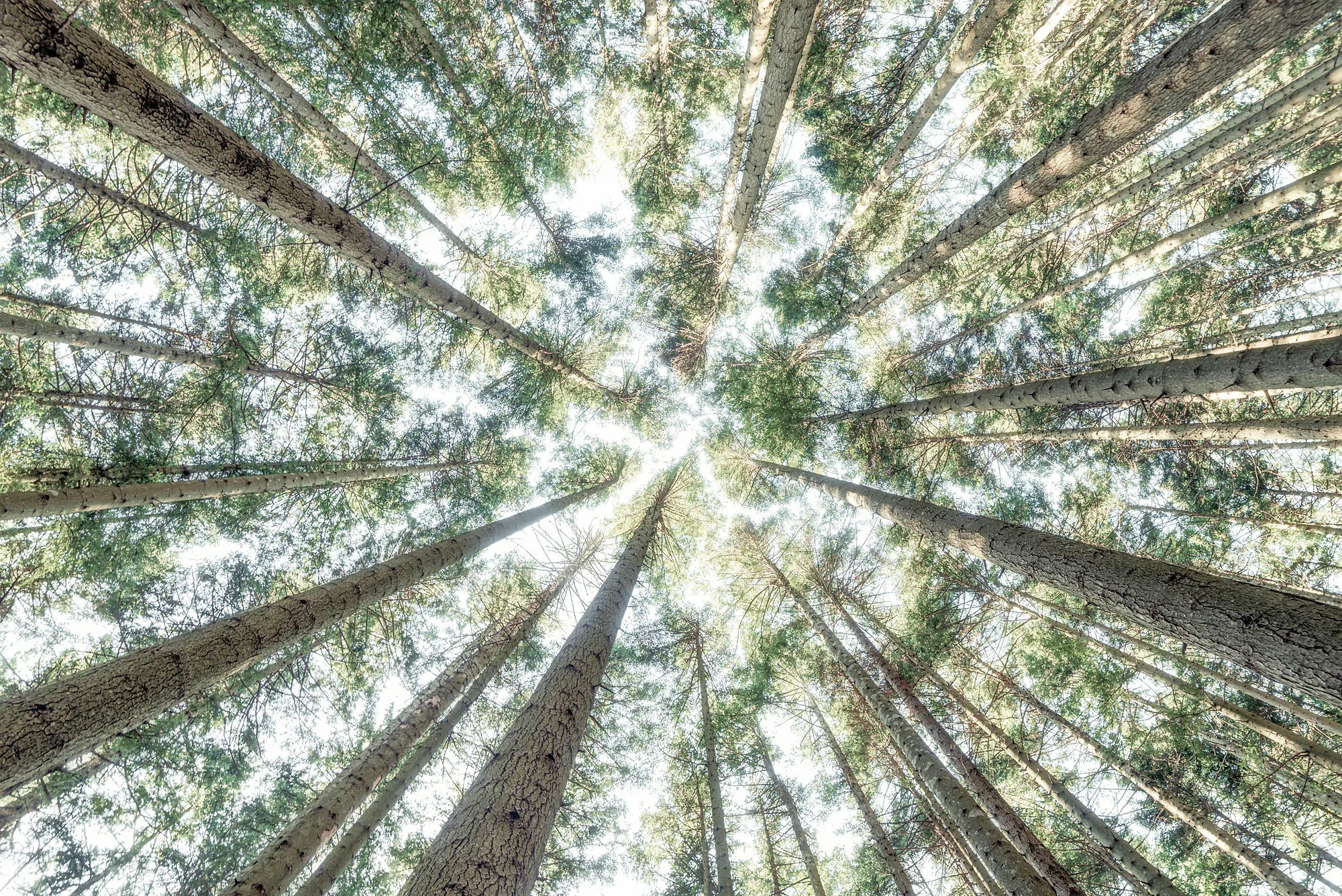 Explained: Haleon's carbon audit that reshaped US retail media planning ...
