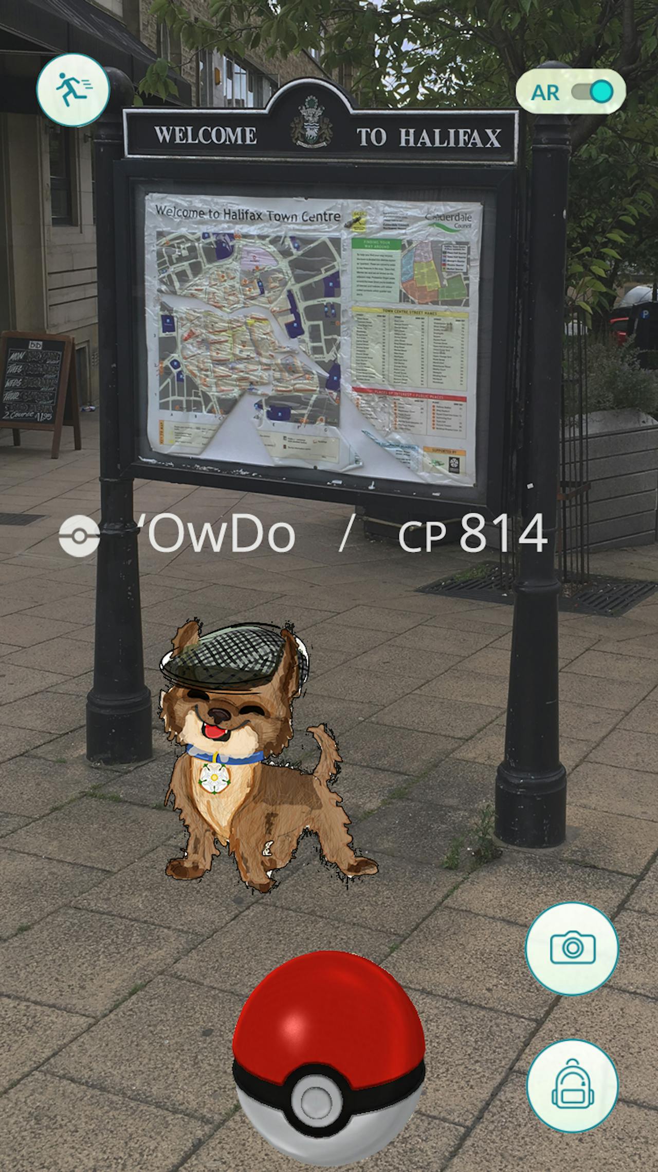 Special edition Yorkshire terrier Pokemon on't loose in Halifax! | The Drum