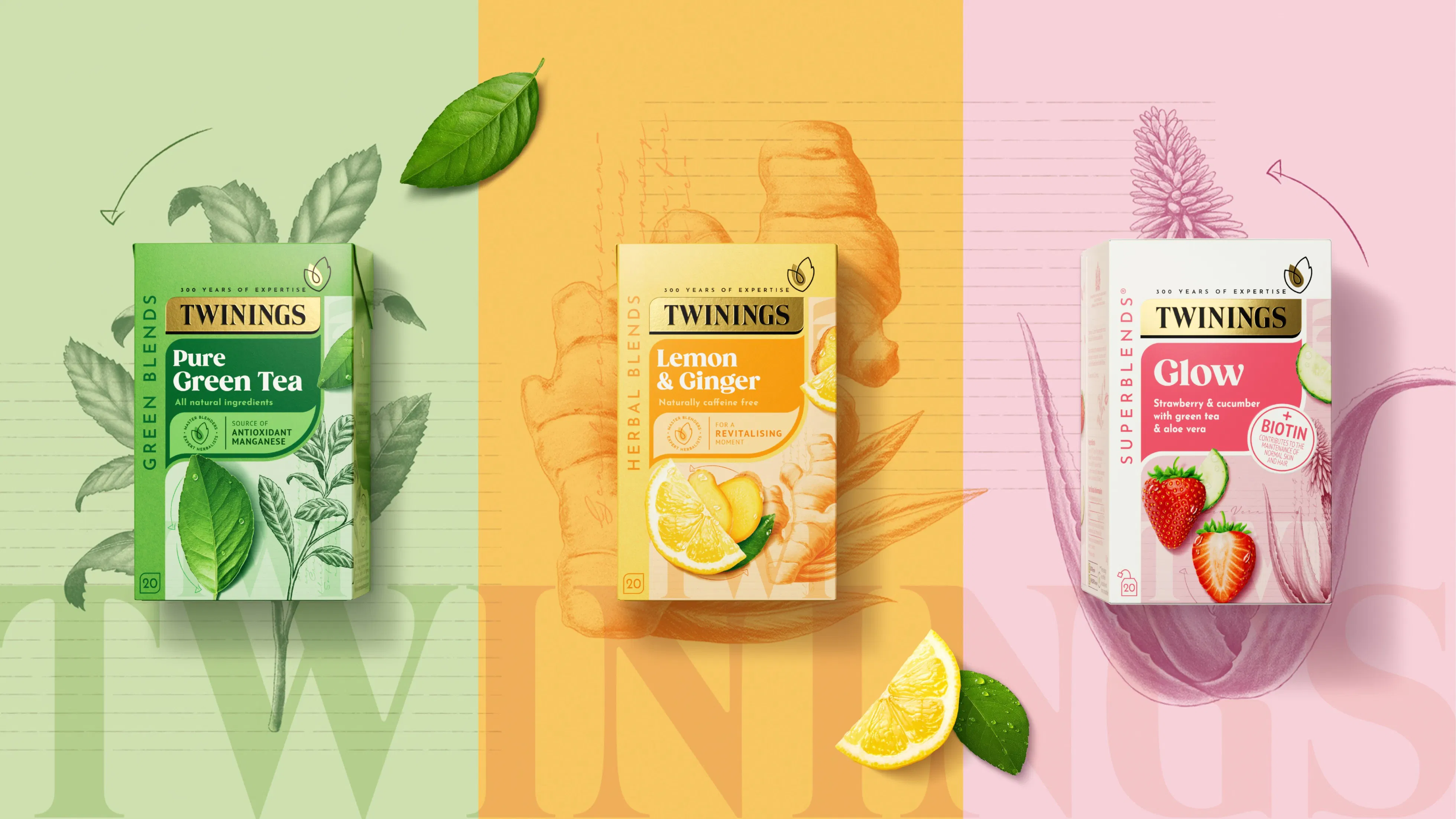 Twinings works with long-term partner, BrandOpus to redesign its ...