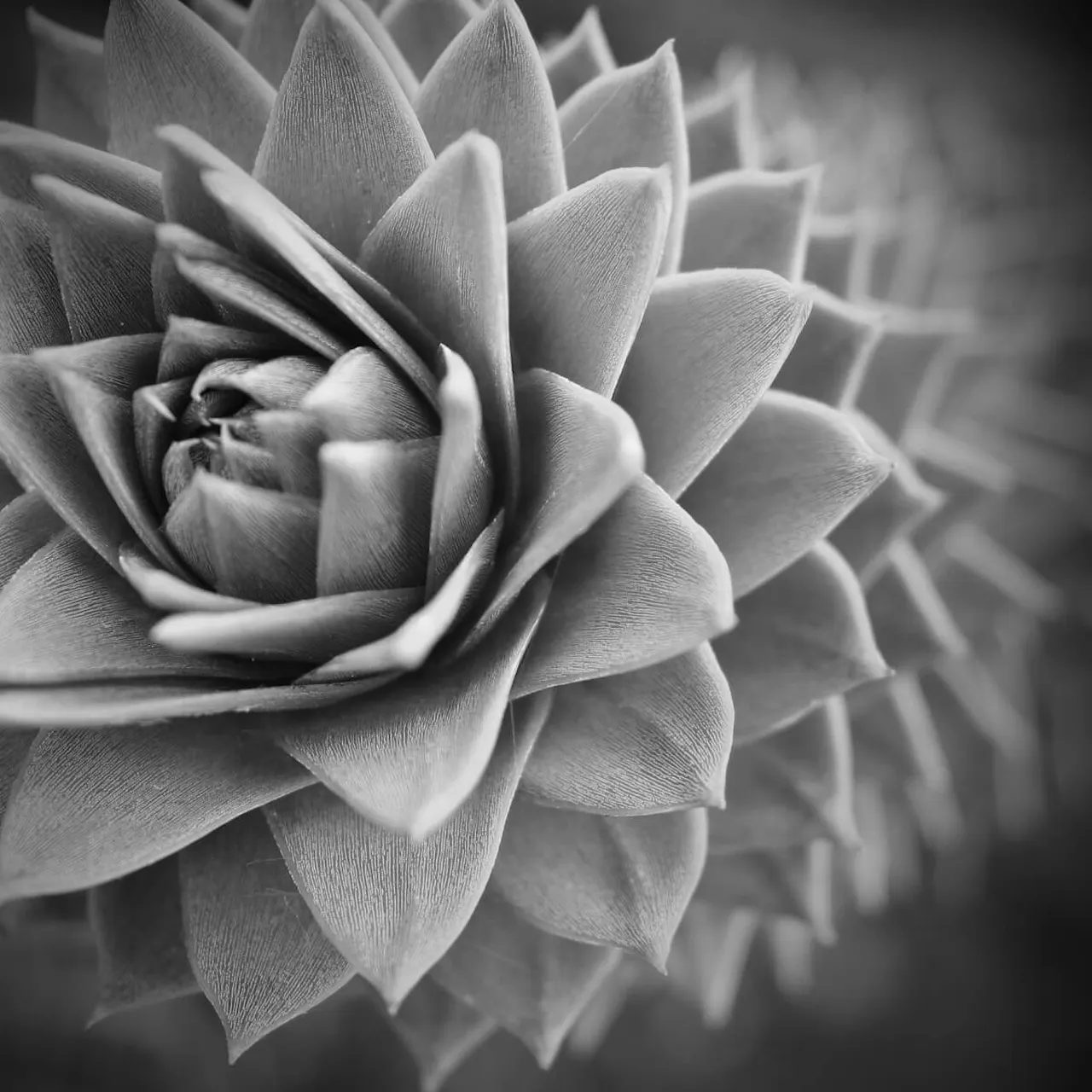 How brand strategy unlocks Forever Customers (and 3 ways to get it ...