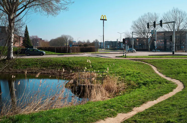 Ad of the Day: McDonald’s maps real-world desire lines leading to its ...