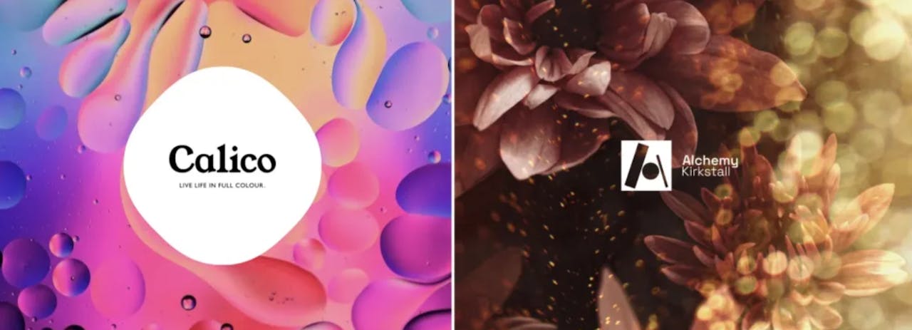 Not-so-top secret: laying bare our property marketing process | The Drum