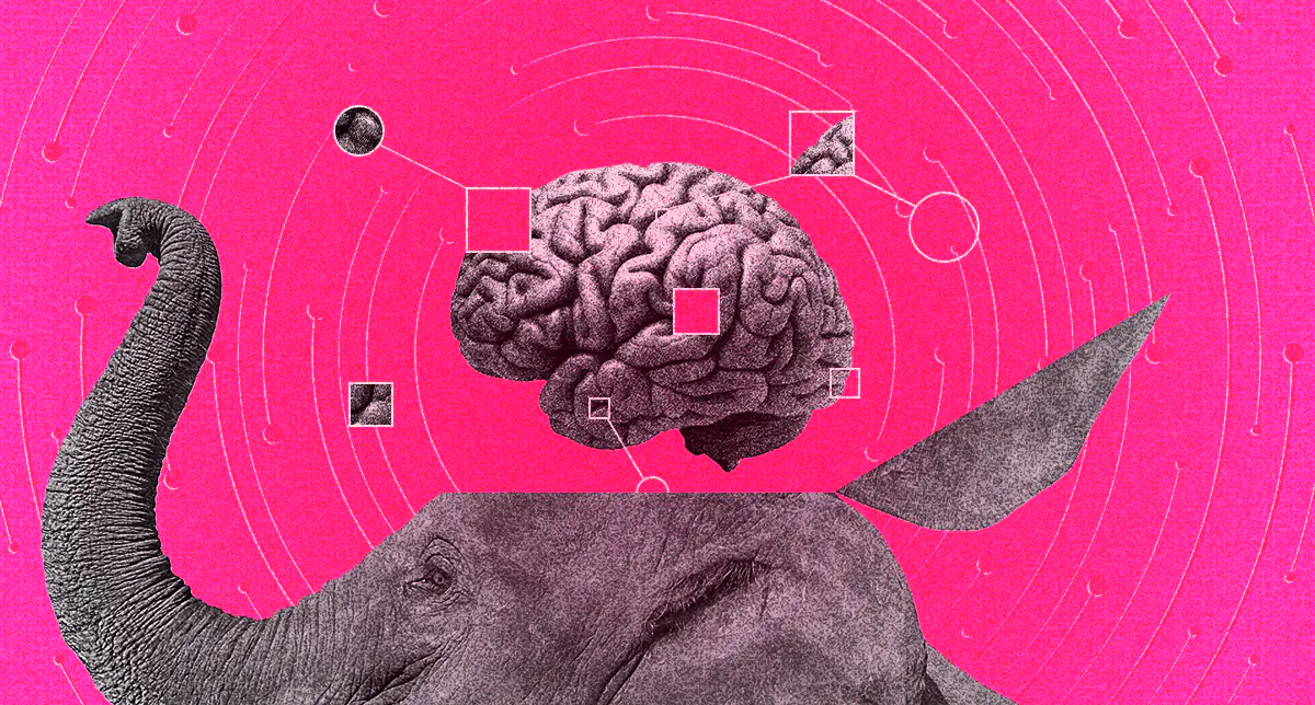 B2B has a memorability problem that AI can’t fix | The Drum